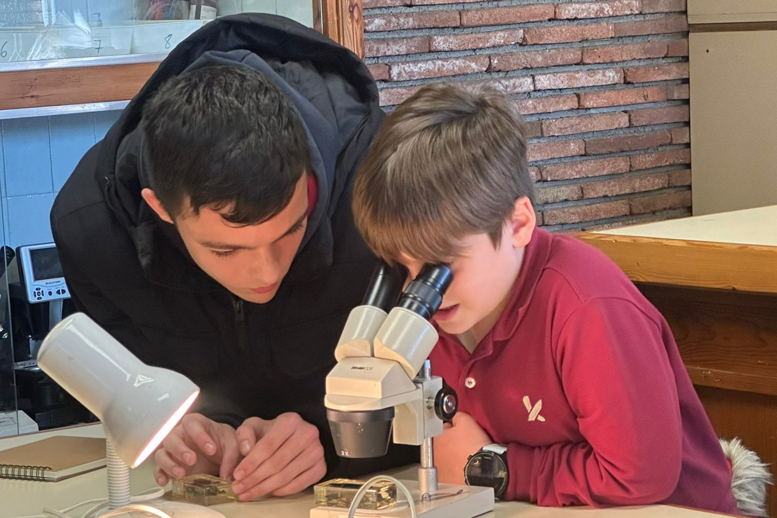 Aprendizaje colaborativo en el laboratorio de Xaloc